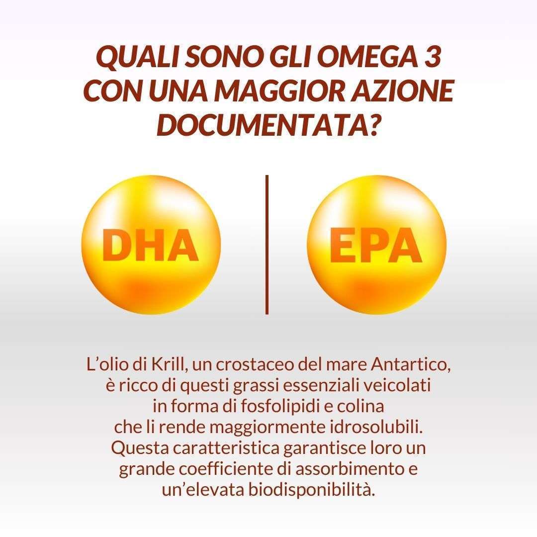 Perché è importante integrare gli Omega 3 e bilanciarli con gli Omega 6 ...